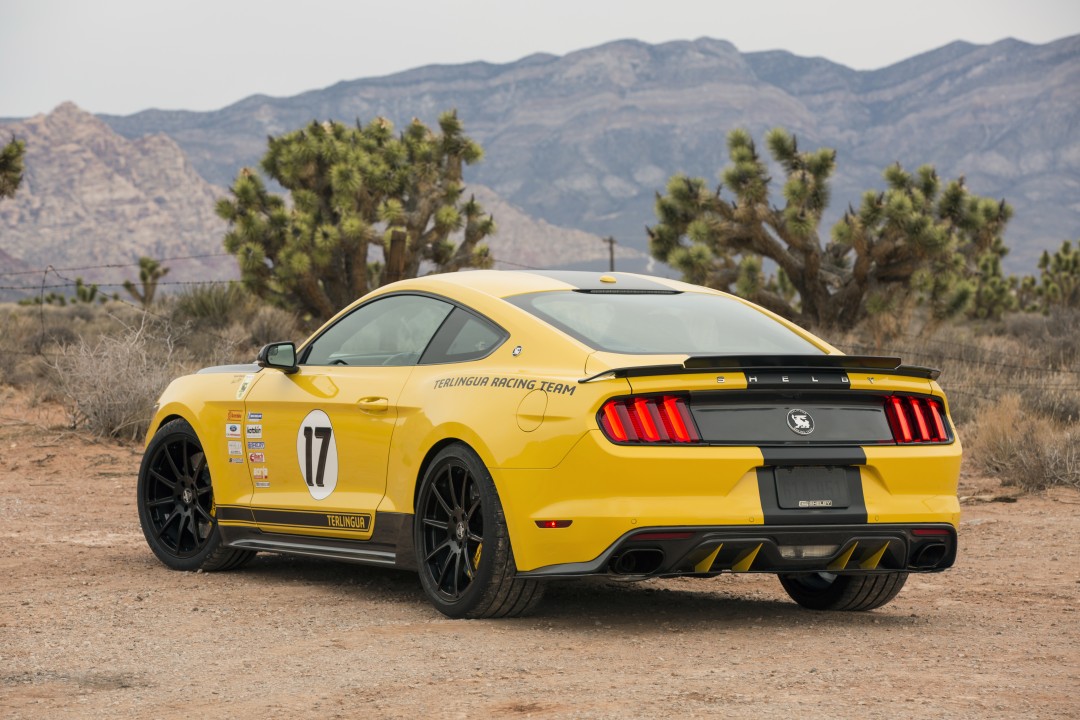 LIMITED EDITION SHELBY TERLINGUA MUSTANG RETURNS - Matt Stone Cars