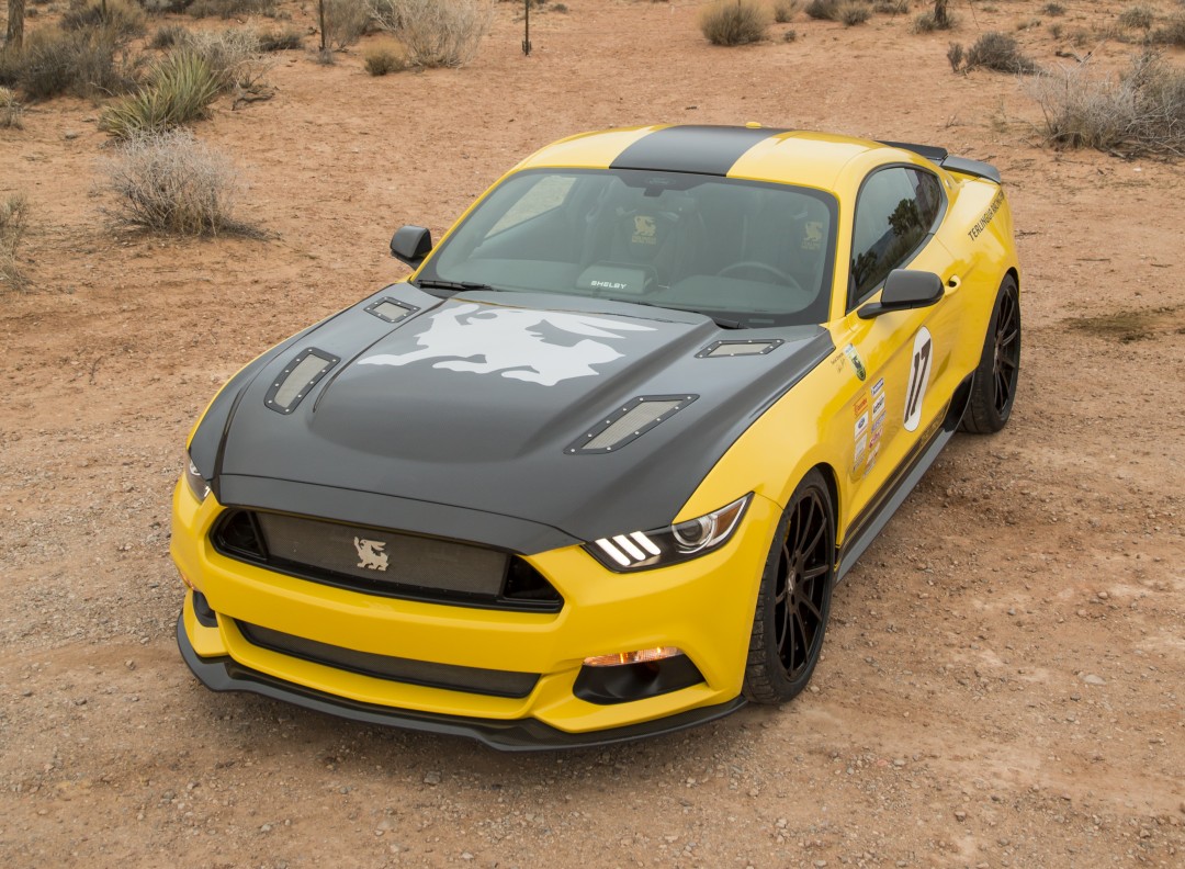 LIMITED EDITION SHELBY TERLINGUA MUSTANG RETURNS - Matt Stone Cars